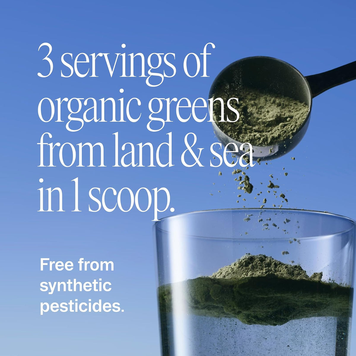 plant-based greens powders for vitality