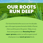 plant-based greens powders for wellness