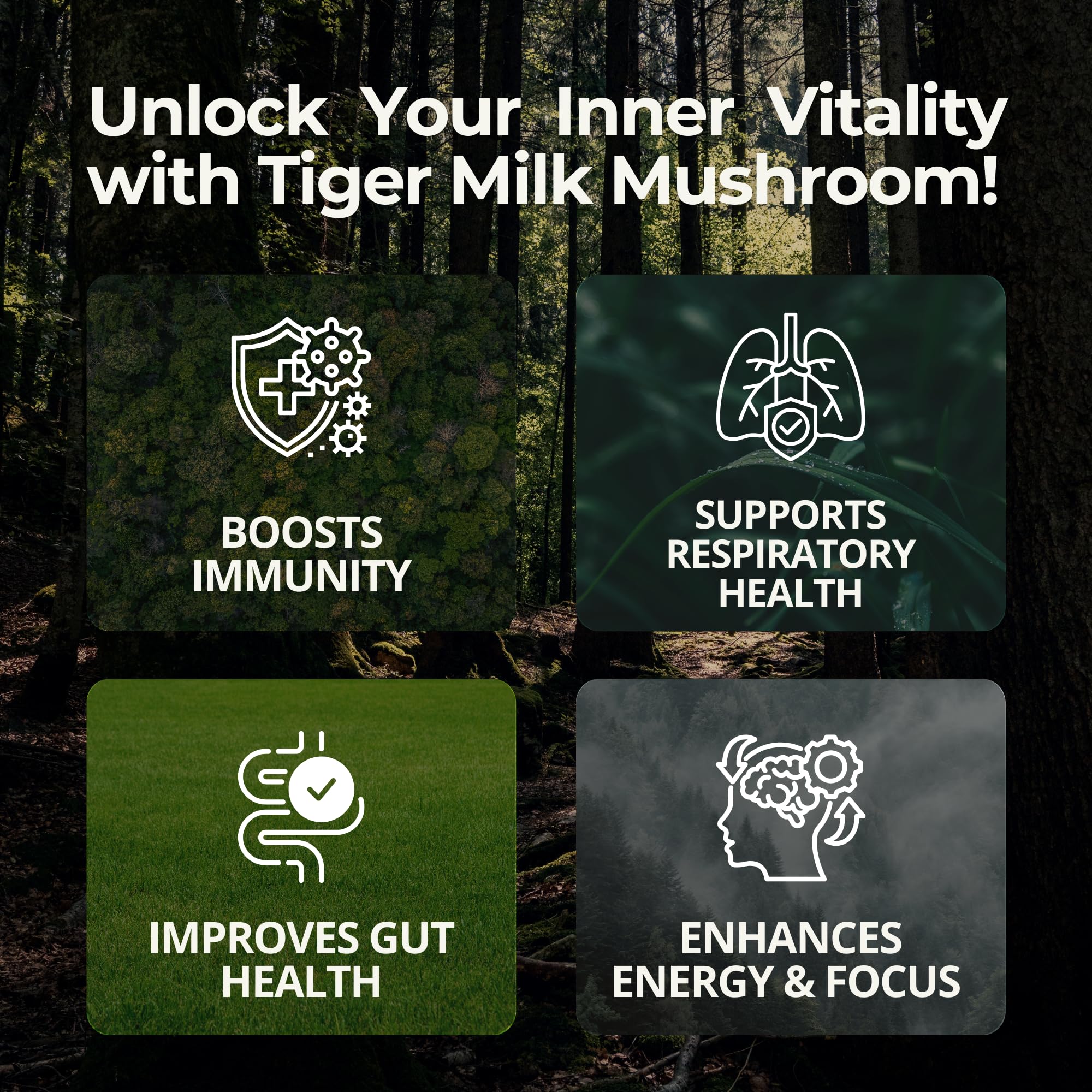 plant-based immune booster capsules
