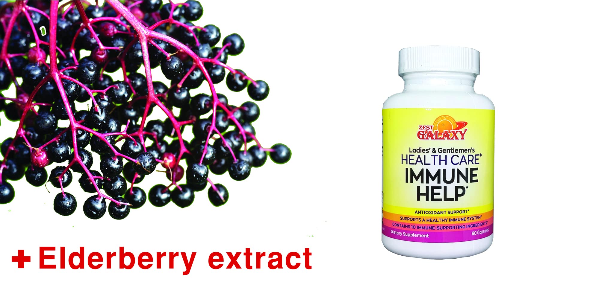 plant-based immune booster capsules