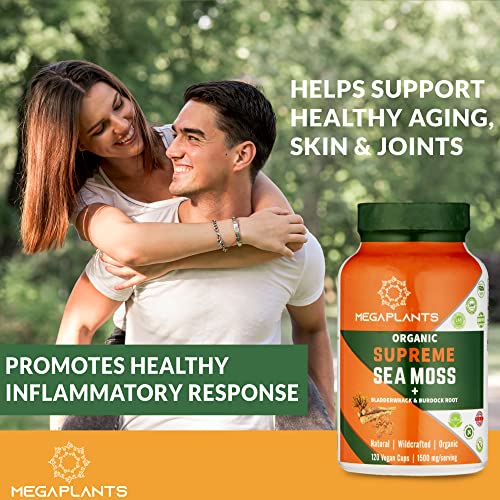 plant-based immune booster supplement