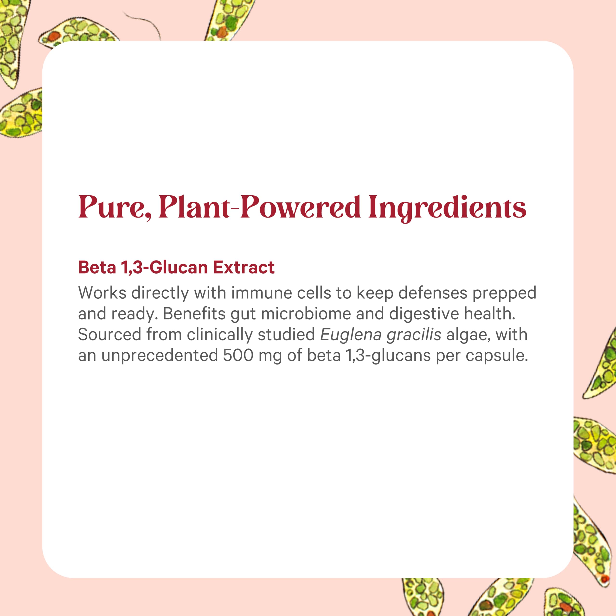 Plant-based immune health formula