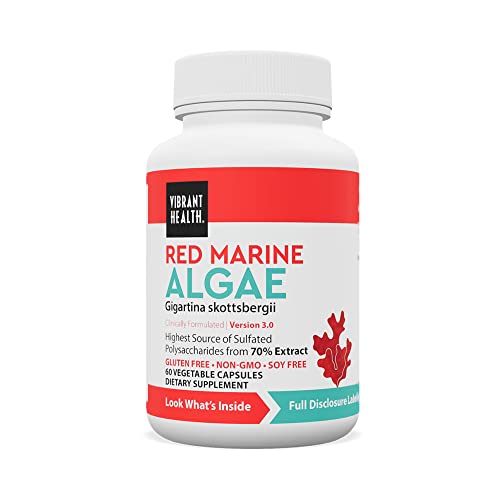 plant-based immune support capsules