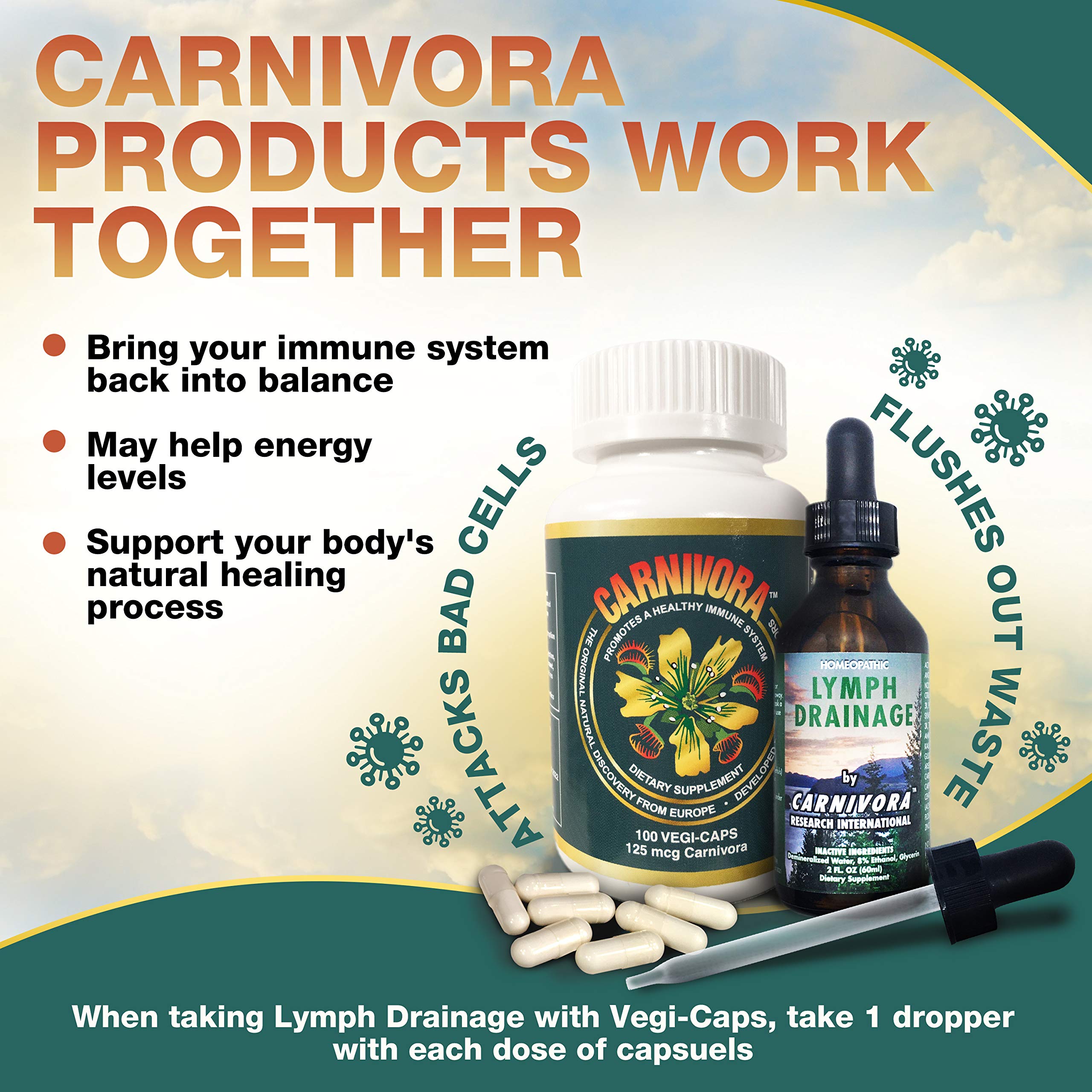 Plant-based immune support capsules