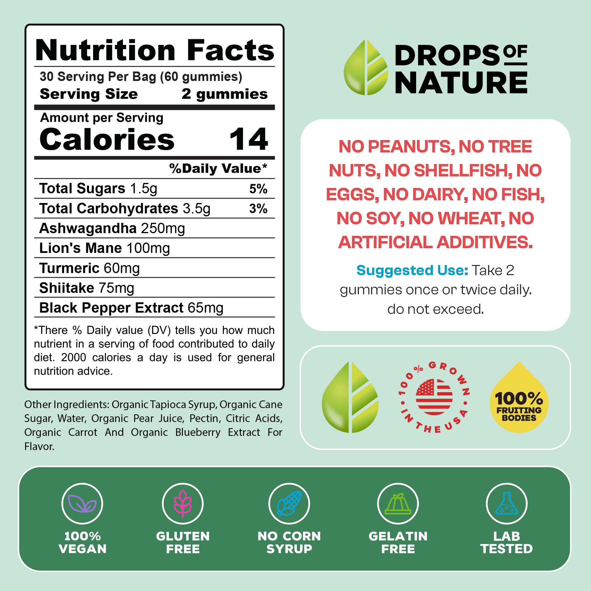 plant-based immune support gummies