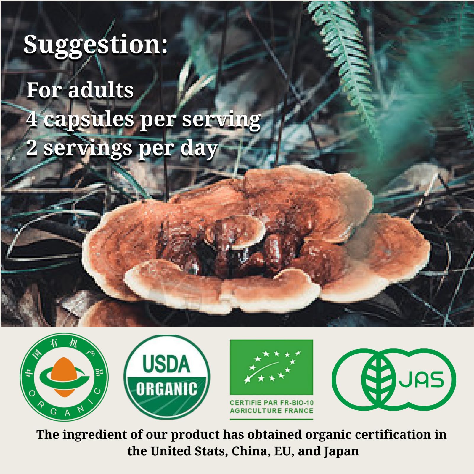 plant-based immune support solution
