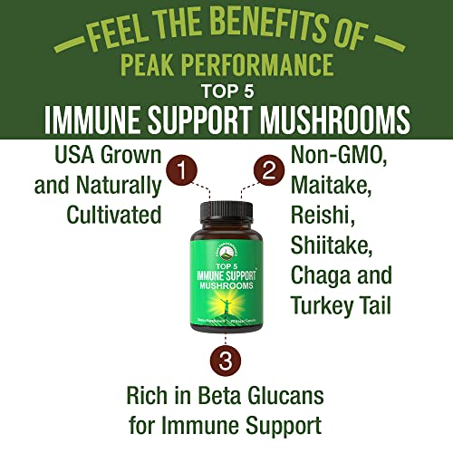 plant-based immune system support