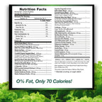plant-based ingredients in whey protein