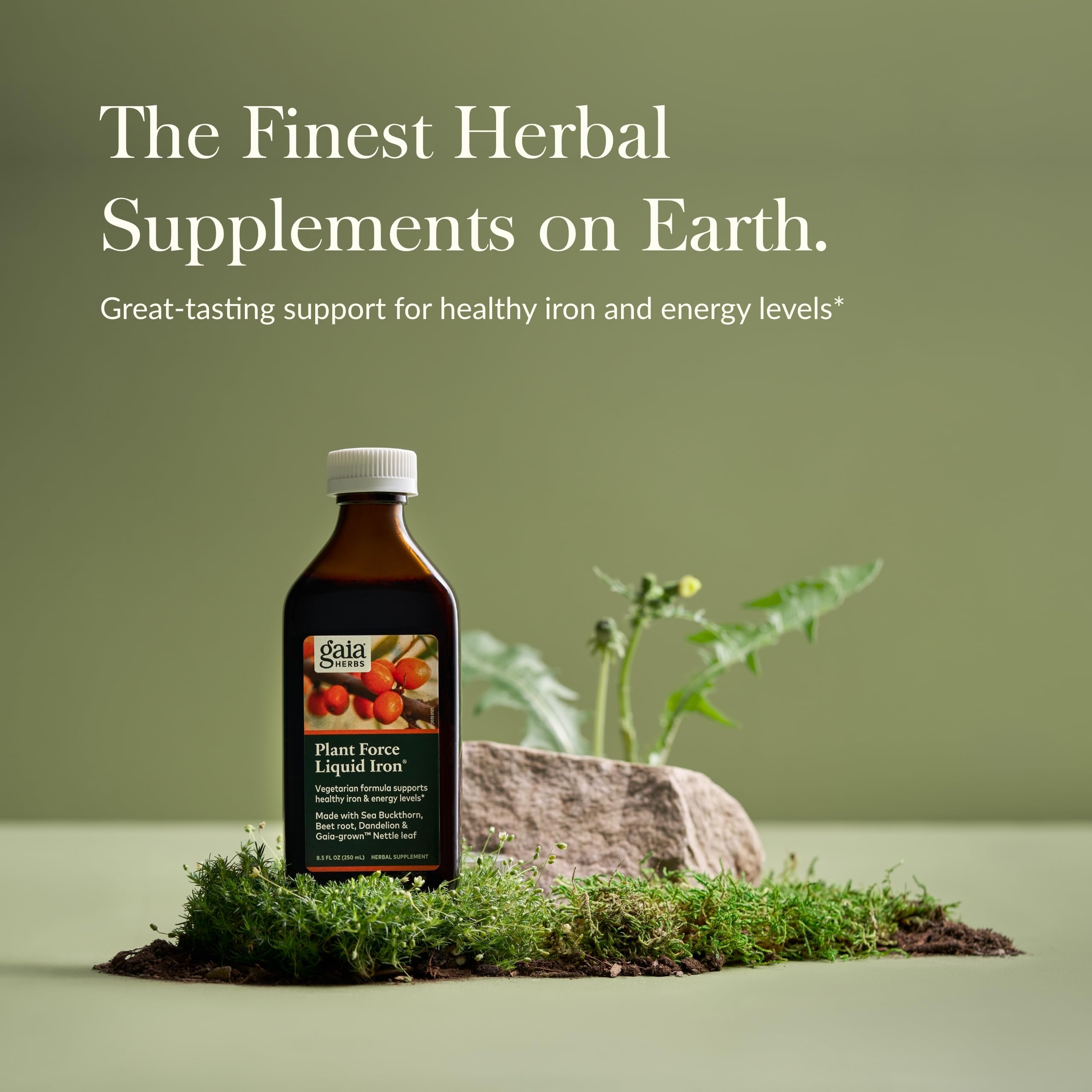 plant-based iron for healthy levels