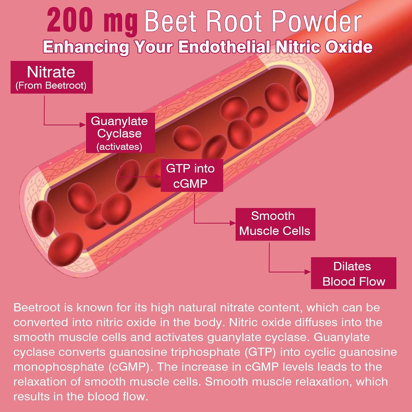 plant-based iron supplement benefits