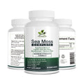 Plant Based Jeff sea moss capsules