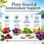 plant-based kidney health solution