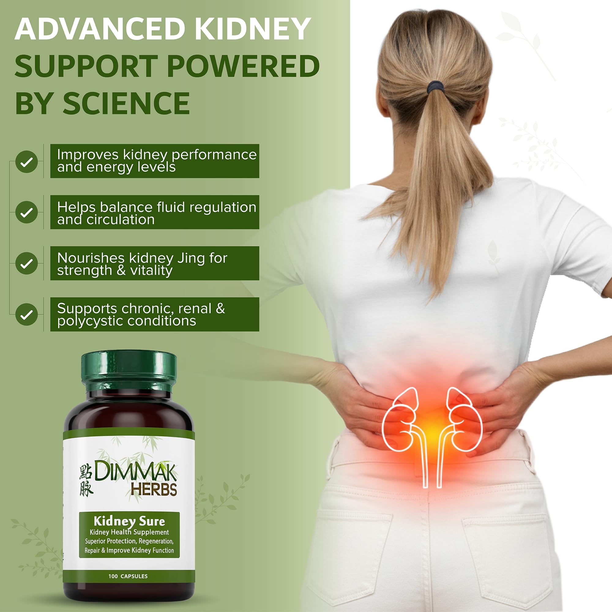 plant-based kidney health solution