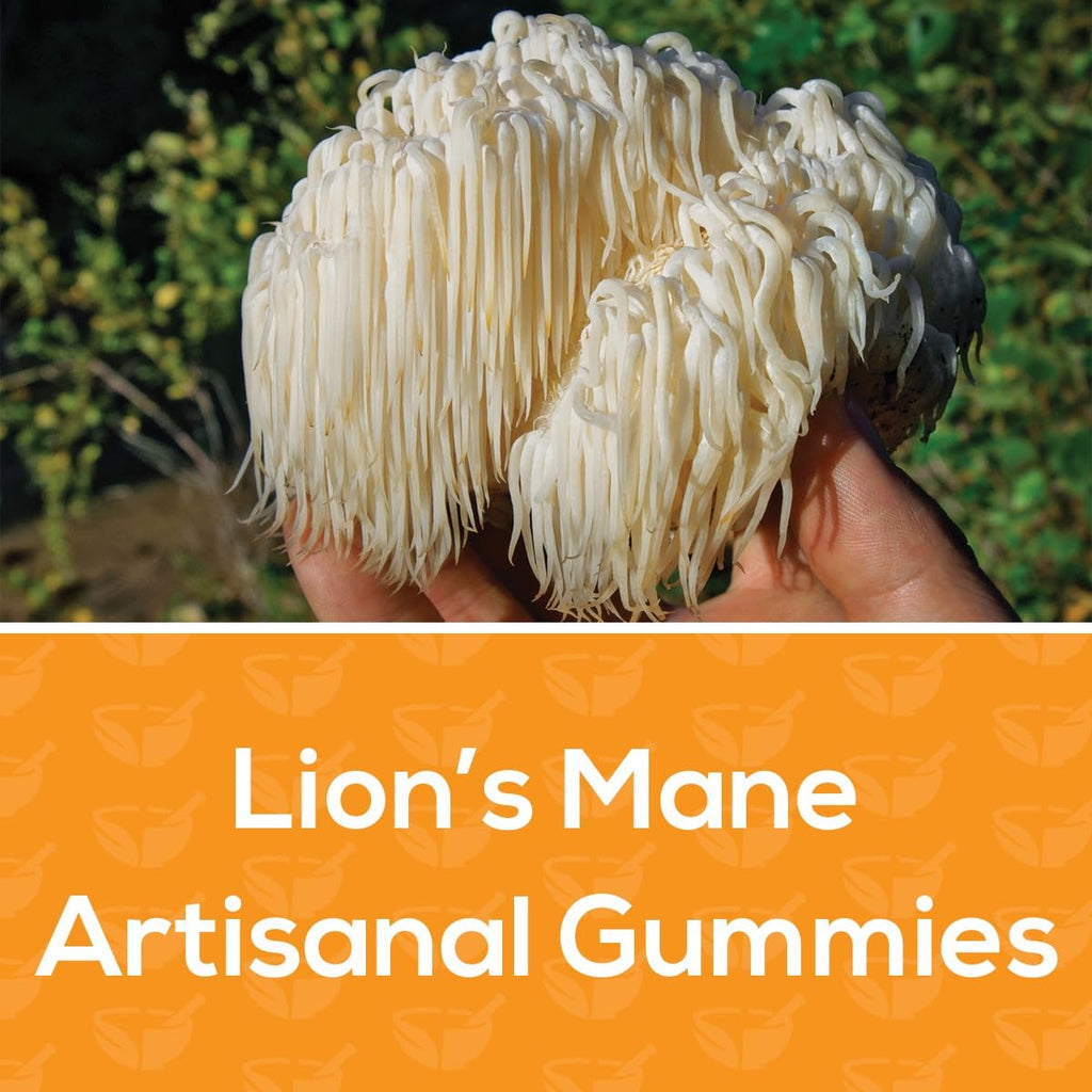 Plant-based Lion's Mane for mental clarity