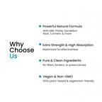 Plant-based liver function aid