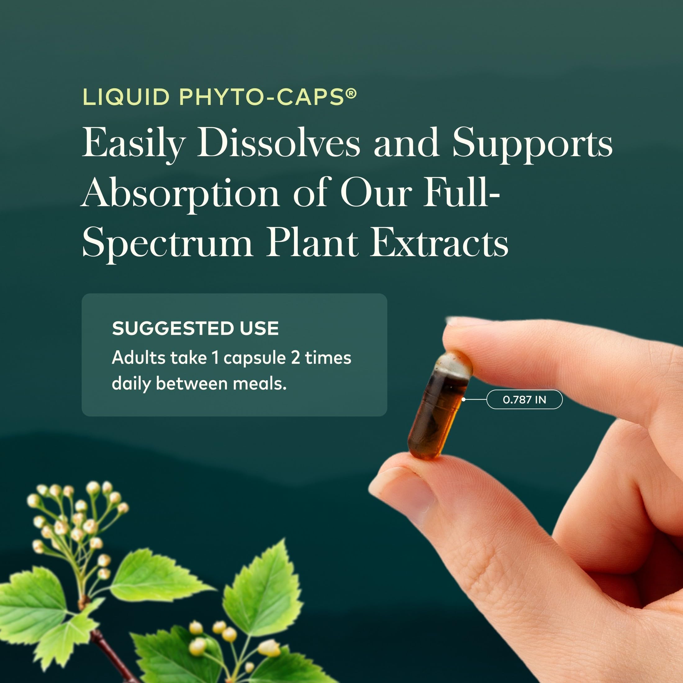 plant-based lung support supplement