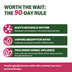 plant-based menopause support solution