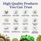 plant-based moringa for active lifestyle