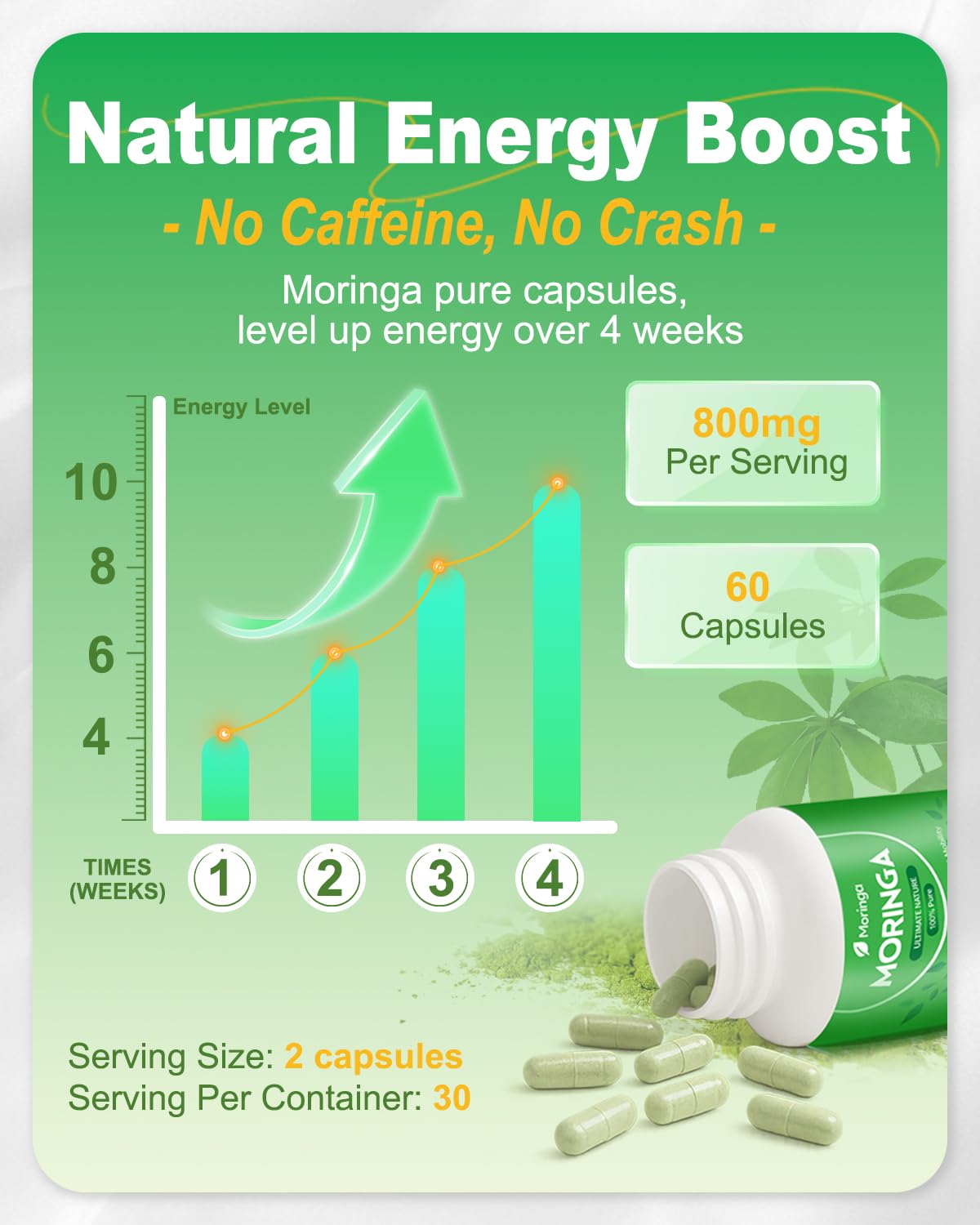 Plant-based Moringa for daily health