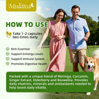 plant-based moringa for daily nutrition