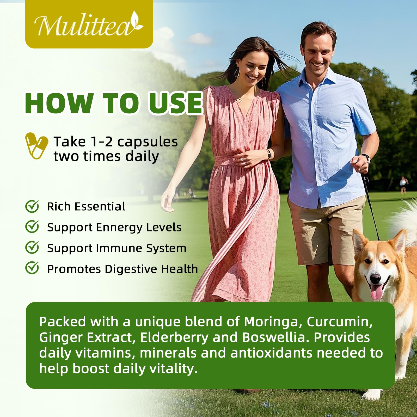 plant-based moringa for daily nutrition