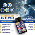 plant-based moringa nutrition