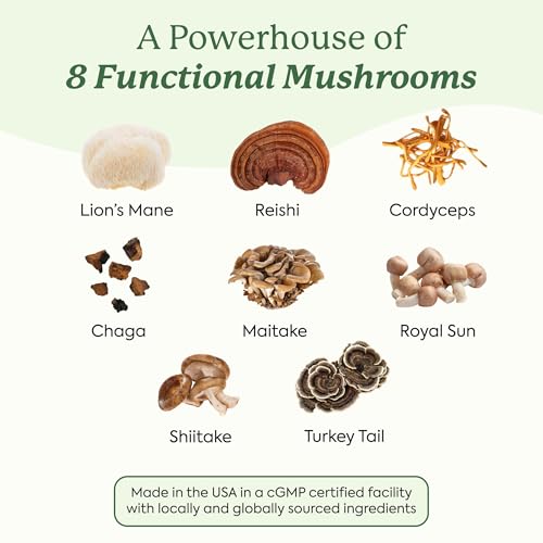 Plant-based multi support mushroom gummies