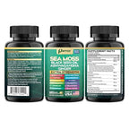 plant-based multivitamin for daily wellness