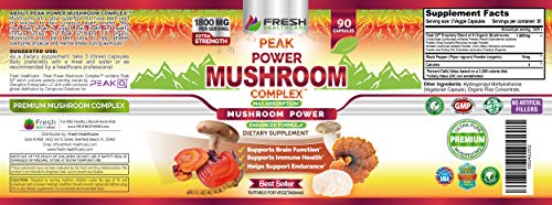 plant-based mushroom blend for energy