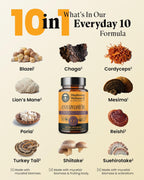 Plant-based mushroom blend for health