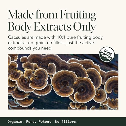 plant-based mushroom capsules for energy