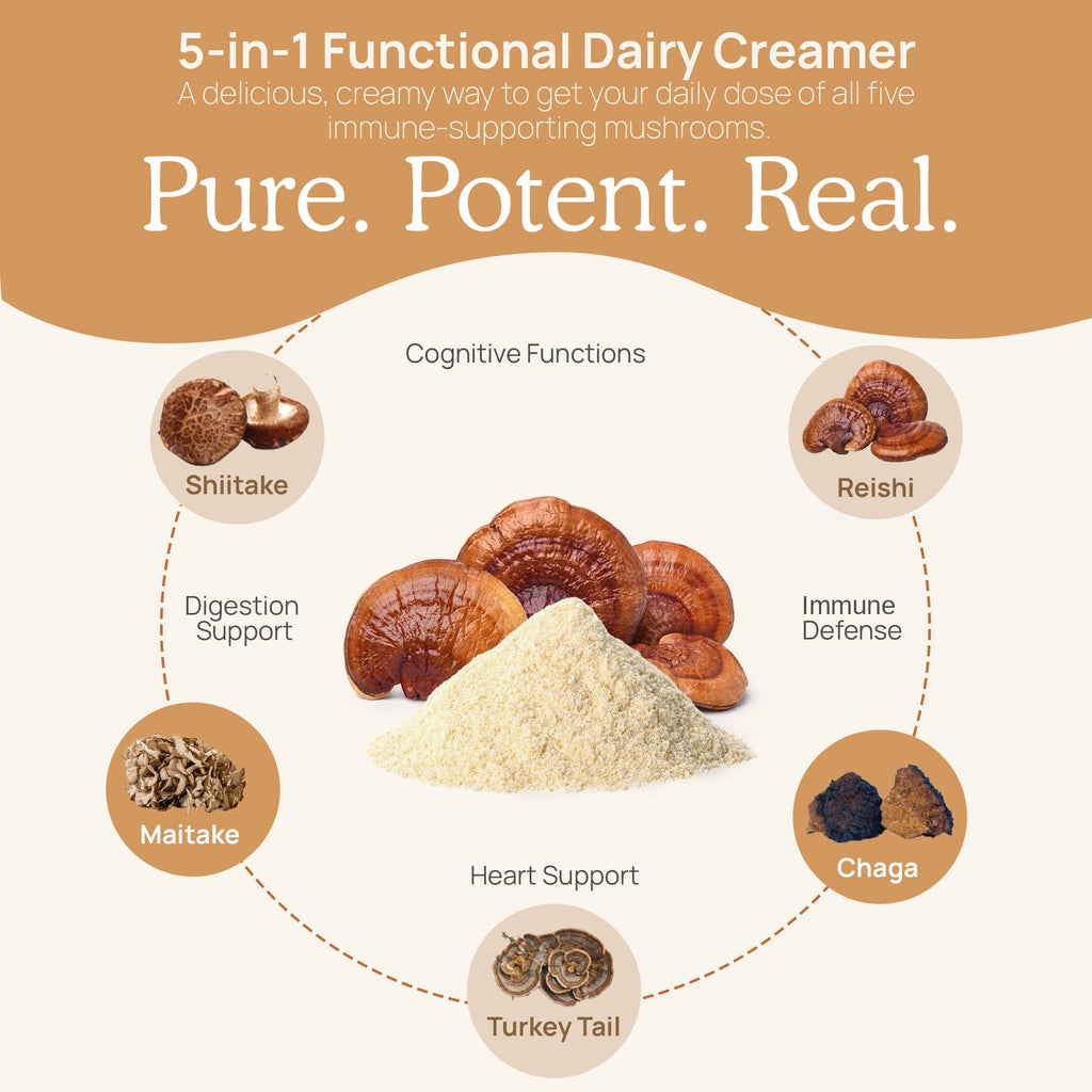 plant-based mushroom creamer option