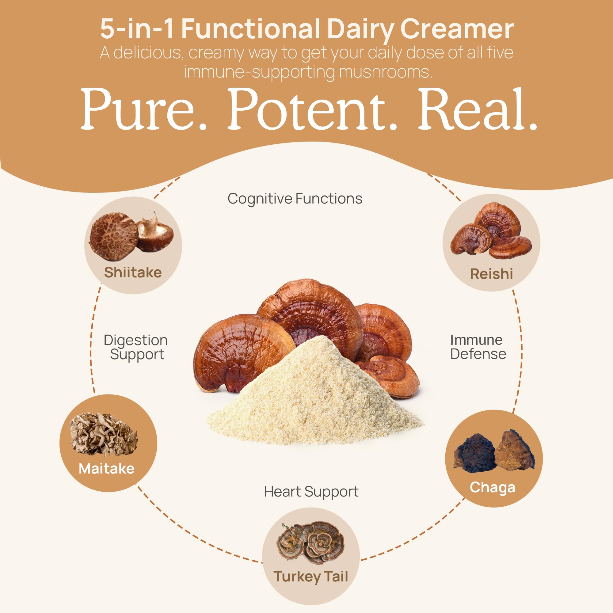 plant-based mushroom creamer option