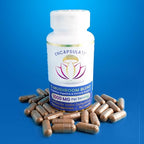 plant-based mushroom supplements for vitality