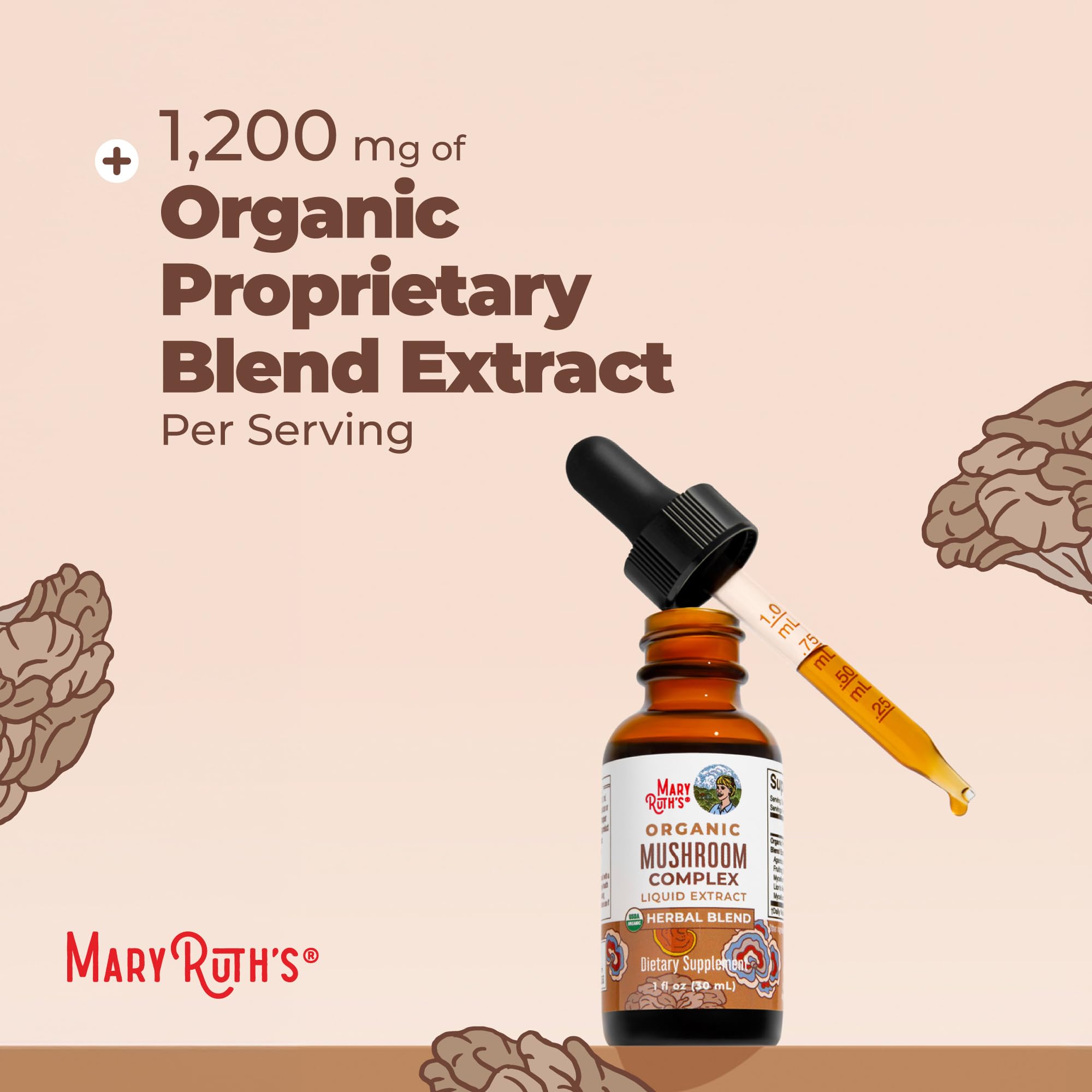 plant-based mushrooms for energy
