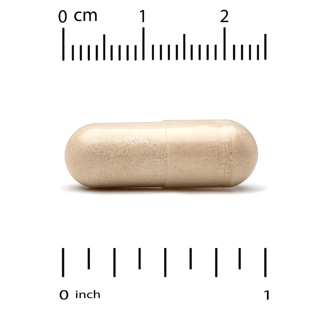 plant-based mushrooms for vitality