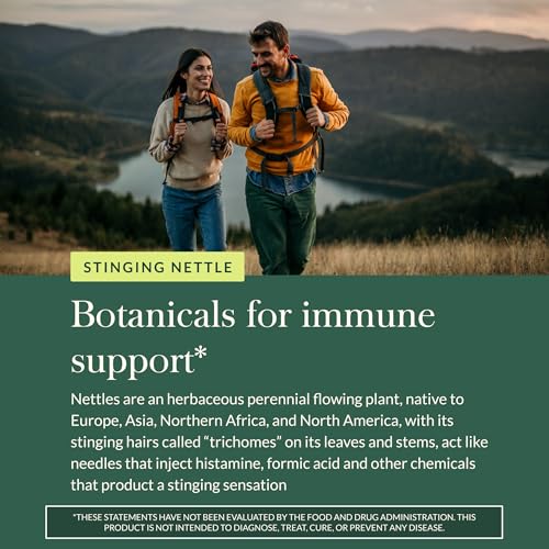 plant-based nettle for vitality