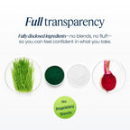 plant-based nutrition Green Vibrance powder