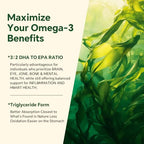 plant-based omega 3 for daily wellness