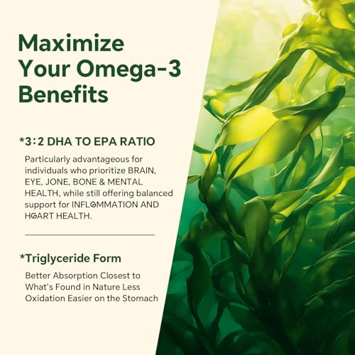 plant-based omega 3 for daily wellness