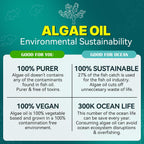 plant-based omega 3 for healthy heart