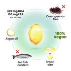 plant-based omega 3 for kids