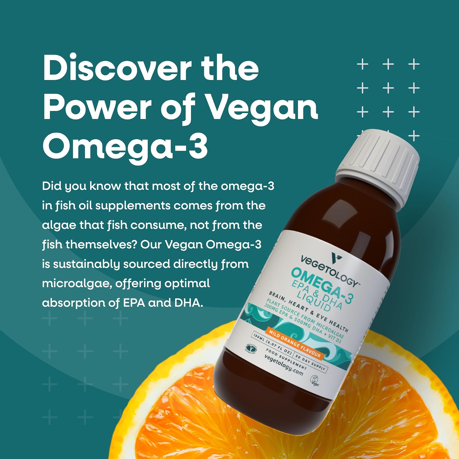 plant-based omega 3 for kids
