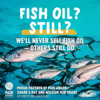 plant-based omega 3 for kids