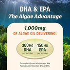Plant-based omega 3 source