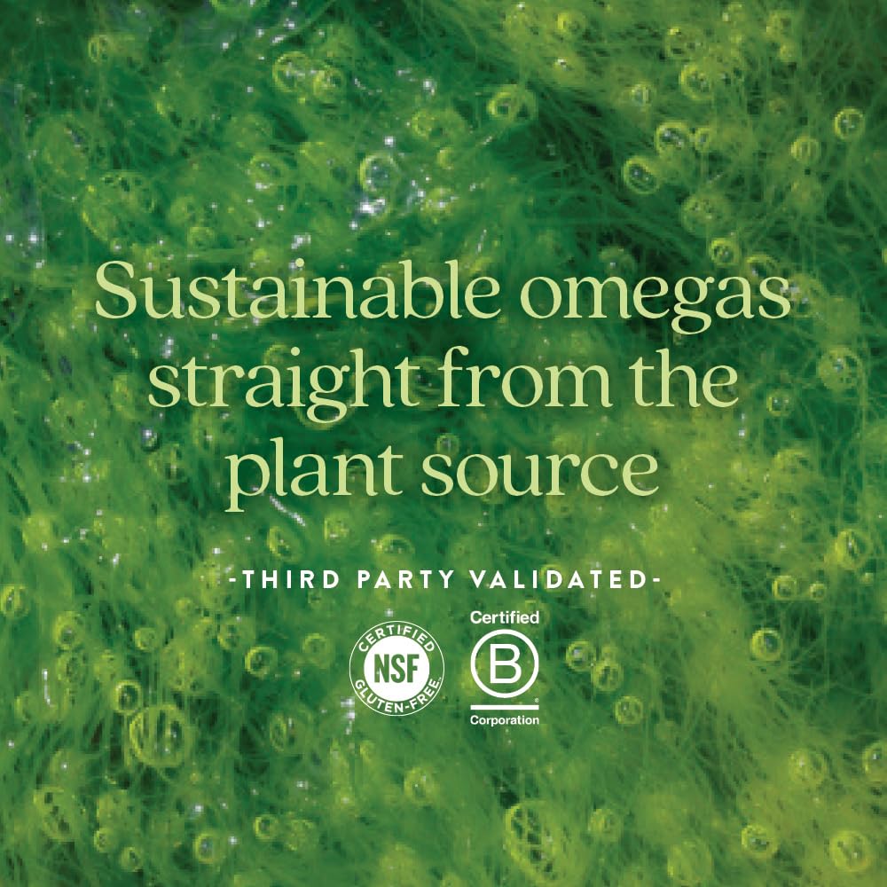 plant-based omega 3 source