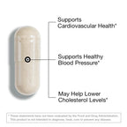 plant-based omega-3 supplement benefits