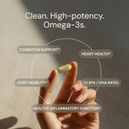 plant-based omega-3 supplement