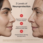 plant-based omega 3 supplement