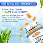 plant-based omega 3 supplements